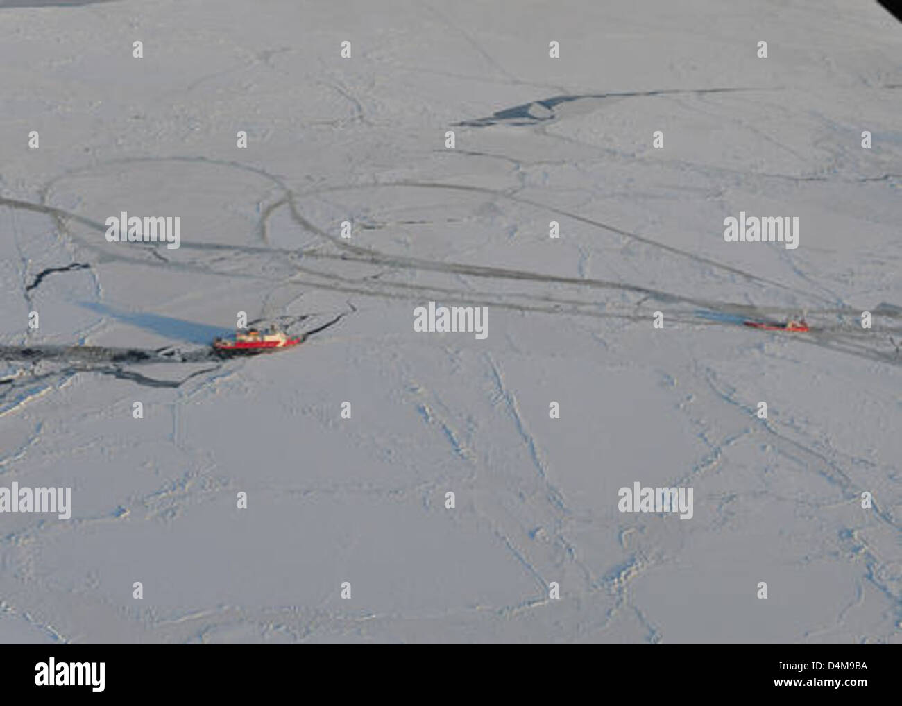 Cgc healy immagini e fotografie stock ad alta risoluzione - Alamy