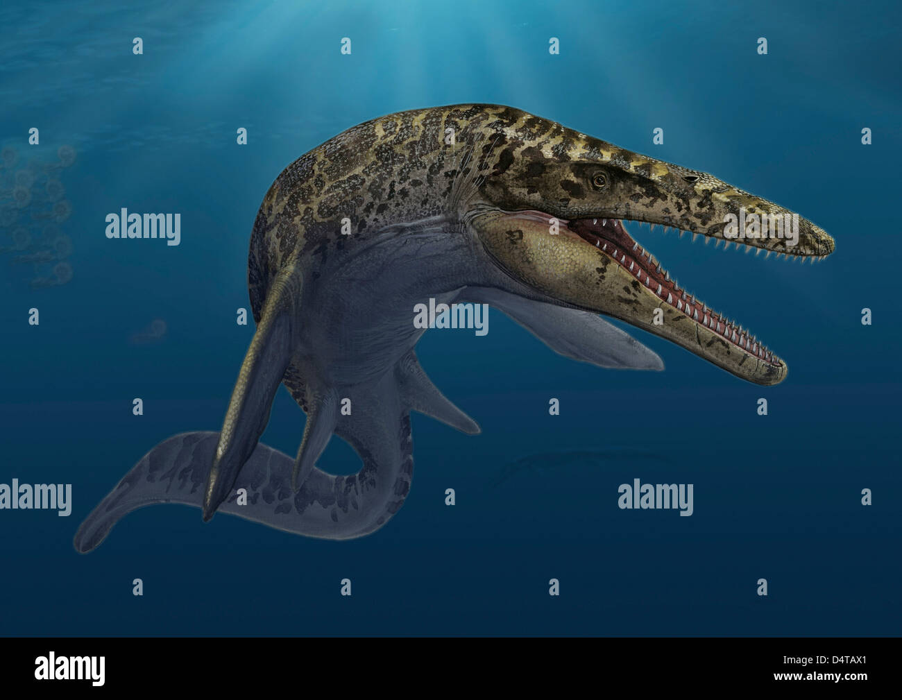 Specie mosasaurus hoffmanni immagini e fotografie stock ad alta ...