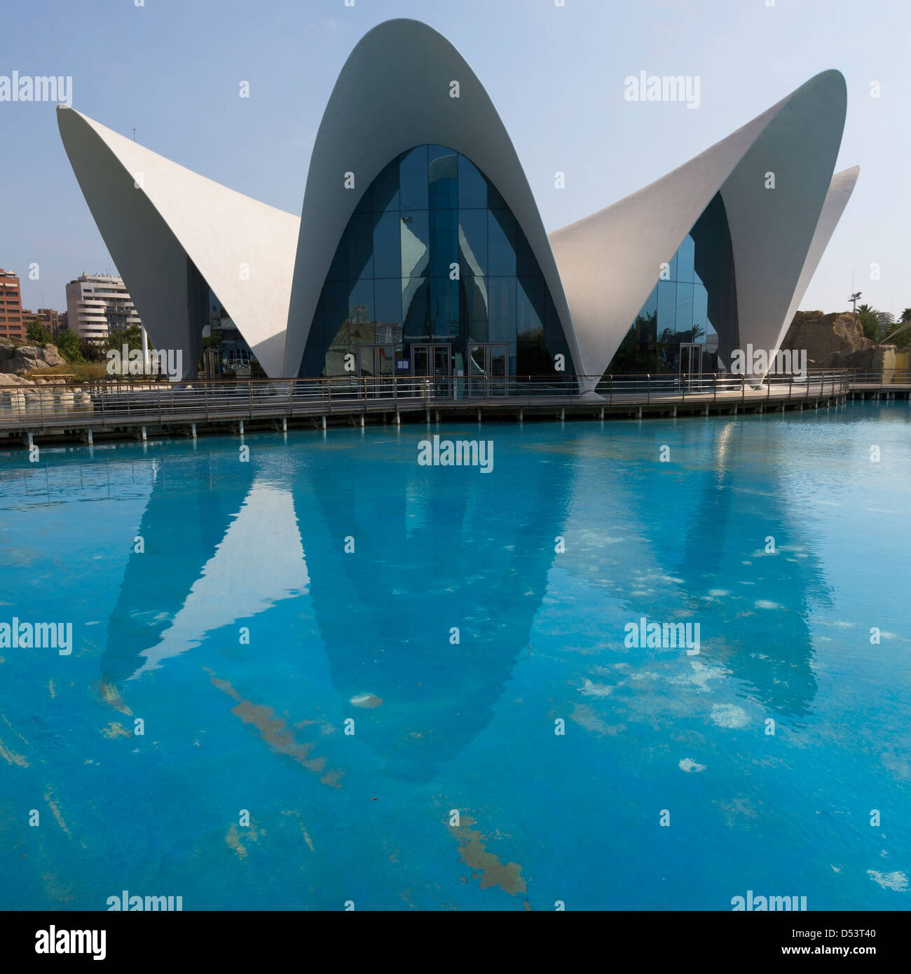 Oceanografic valencia spain immagini e fotografie stock ad alta ...