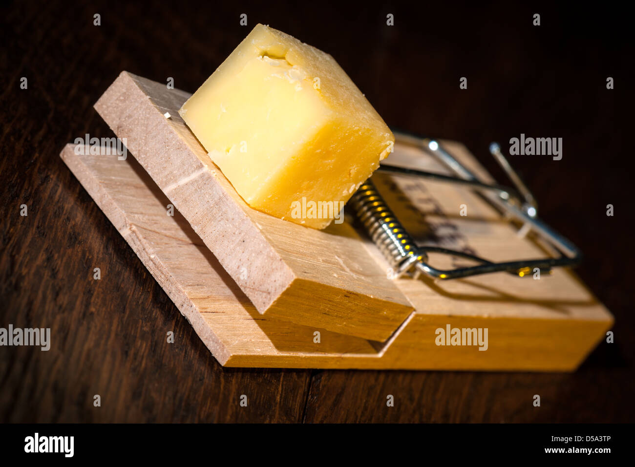 Trappola per esca immagini e fotografie stock ad alta risoluzione - Alamy