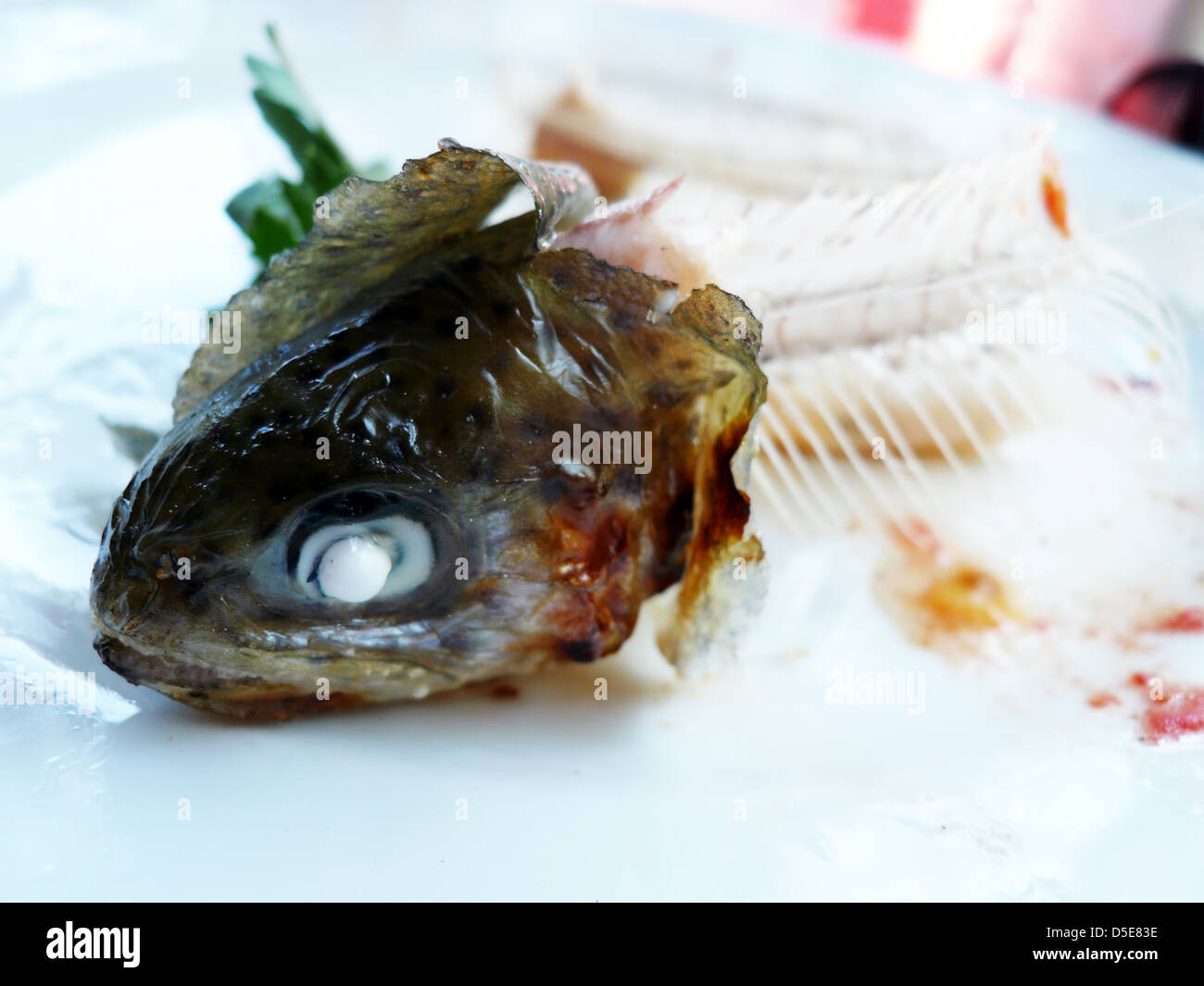Mangiare lisca di pesce immagini e fotografie stock ad alta risoluzione ...