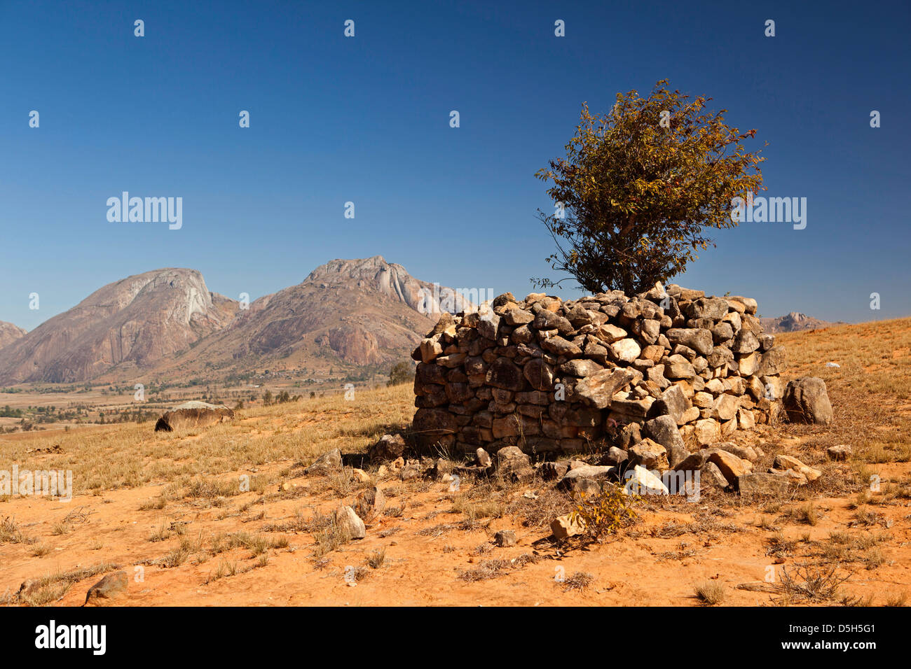 Tomba di pietra immagini e fotografie stock ad alta risoluzione - Alamy