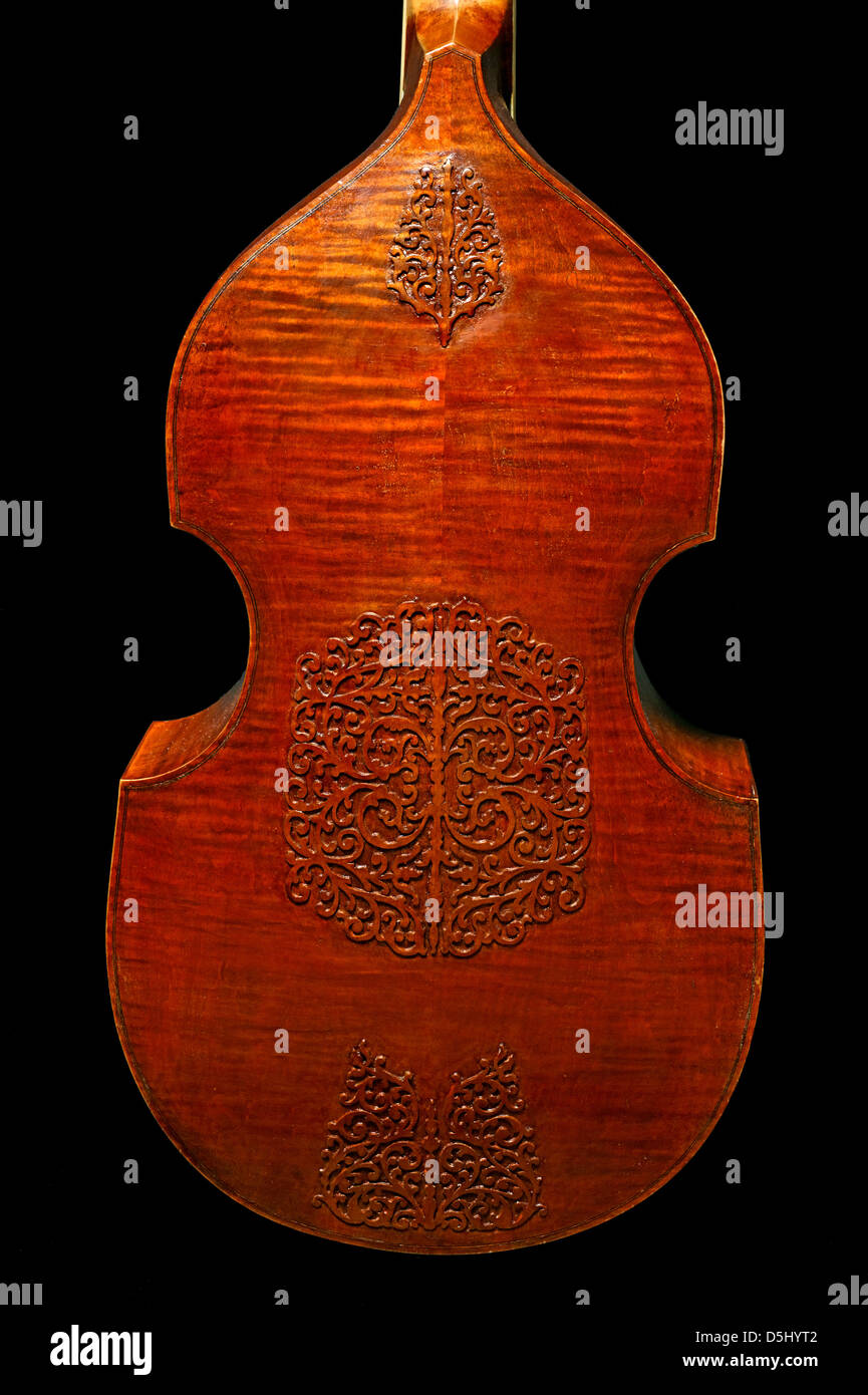 Vista posteriore di una sette-string bass viola da gamba con intarsi ...
