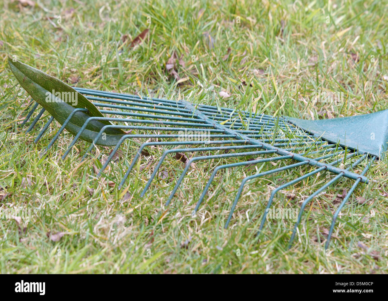 Rastrello giardino immagini e fotografie stock ad alta risoluzione - Alamy