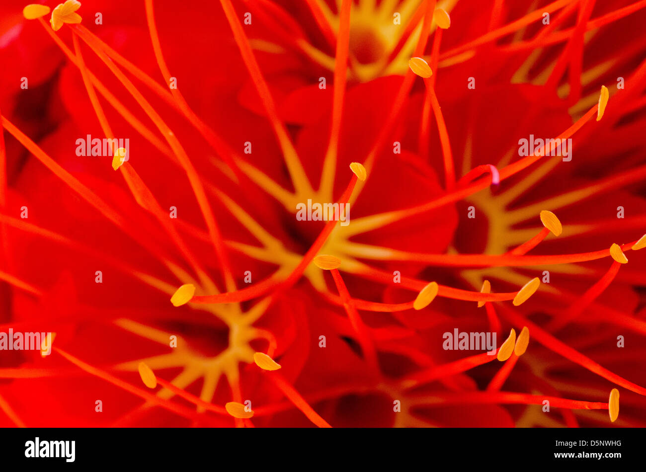 Social interactions immagini e fotografie stock ad alta risoluzione - Alamy