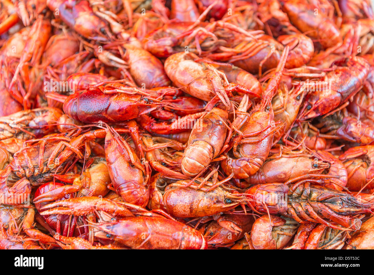 Big prawns immagini e fotografie stock ad alta risoluzione - Alamy