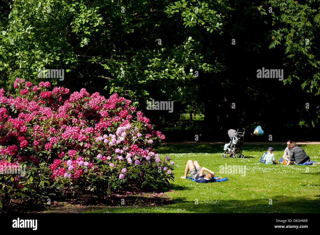 Parco dei bagni reali giardino immagini e fotografie stock ad alta ...