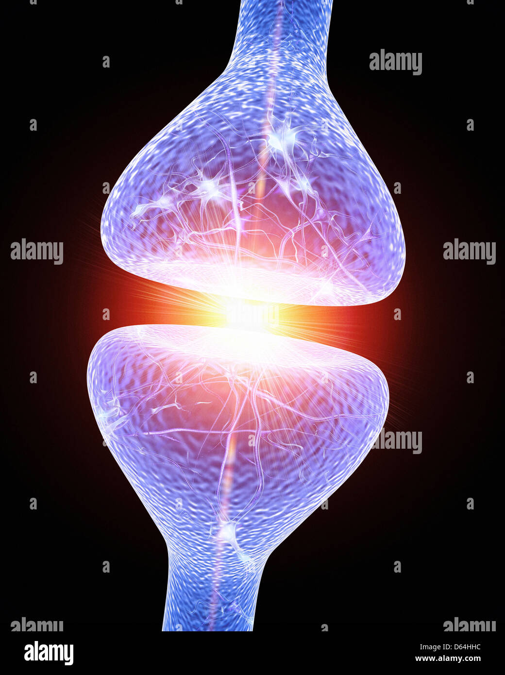 Sinapsi delle cellule nervose immagini e fotografie stock ad alta ...