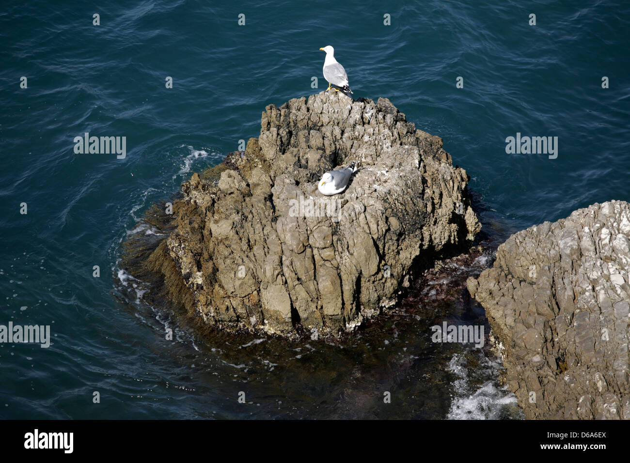 Una roccia nel mare immagini e fotografie stock ad alta risoluzione - Alamy