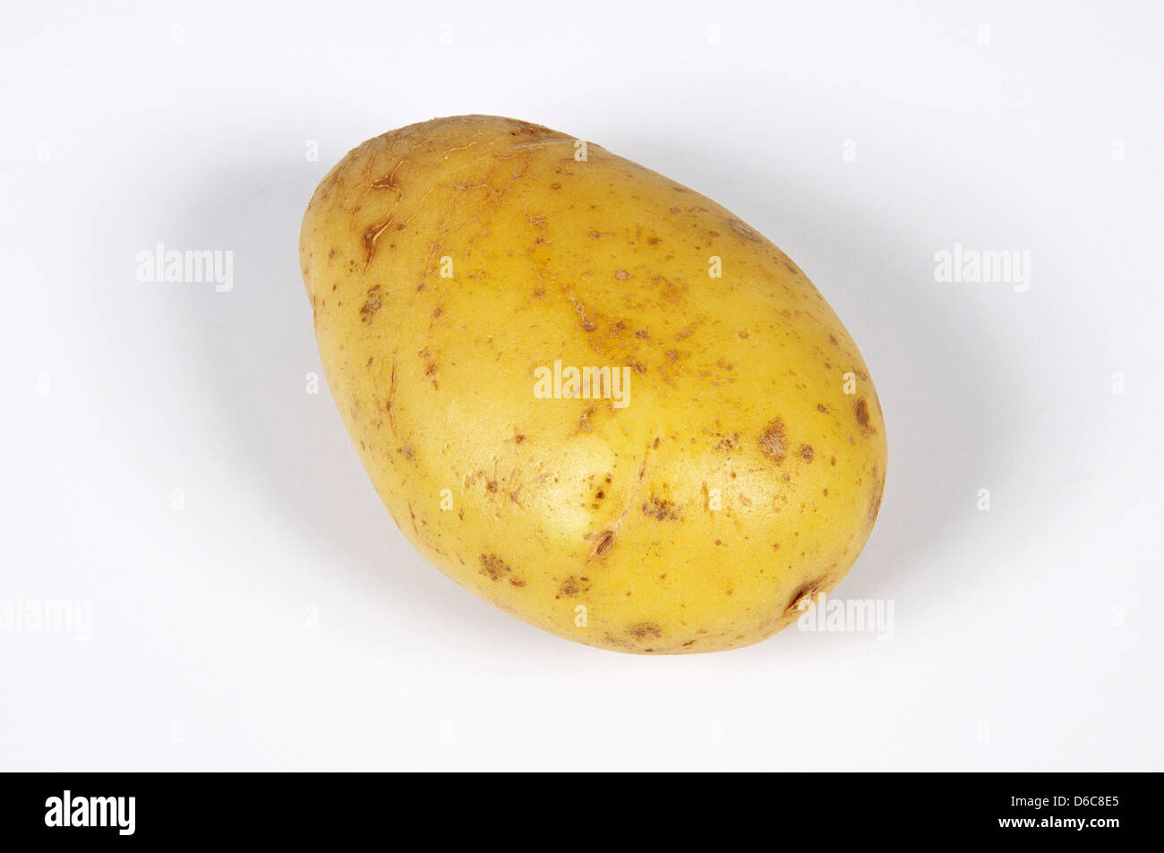 Patata bianca immagini e fotografie stock ad alta risoluzione - Alamy