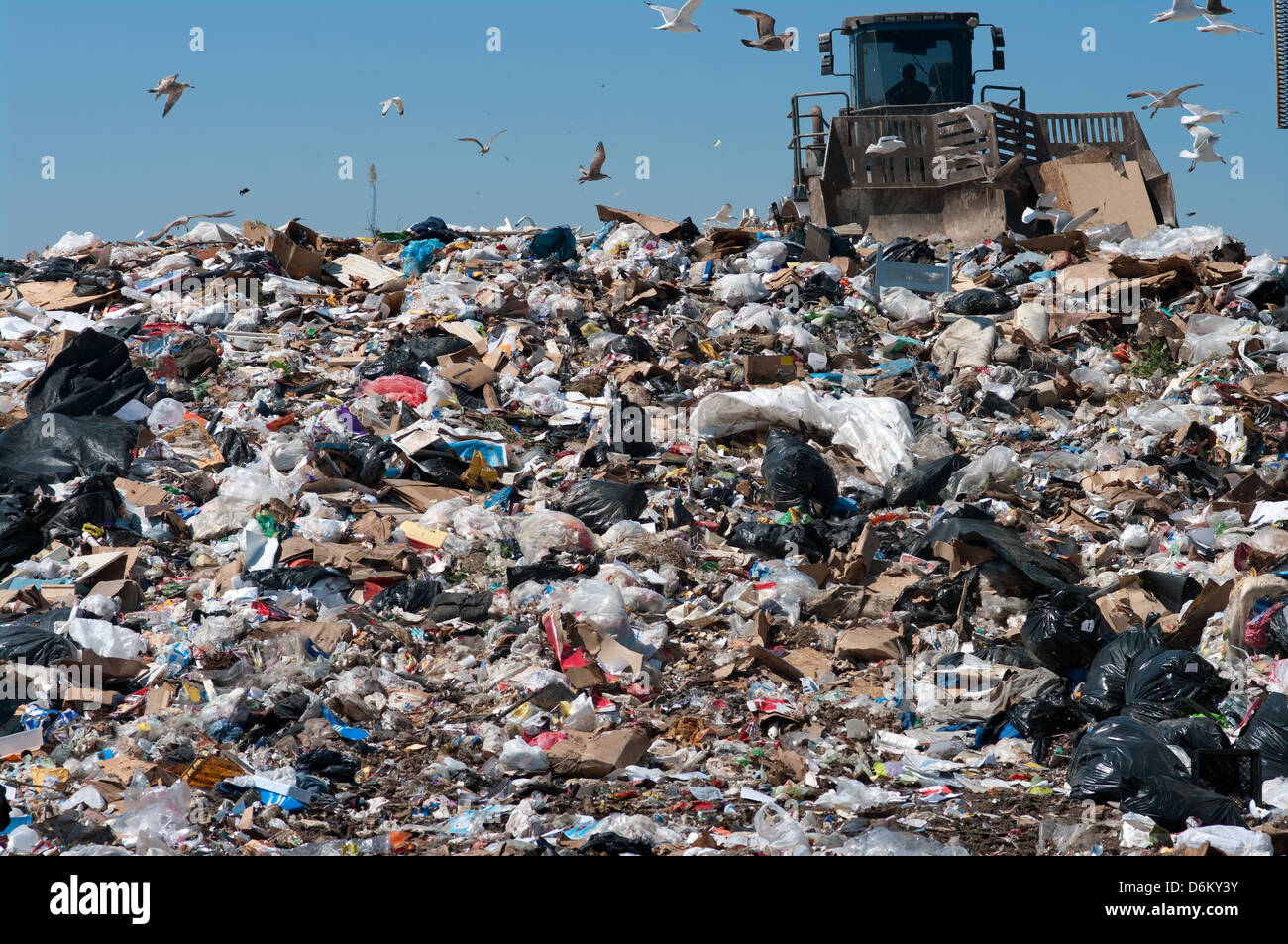 Compattatore di rifiuti immagini e fotografie stock ad alta risoluzione ...