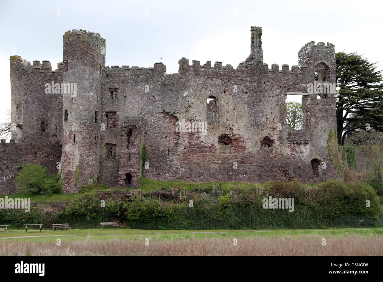 Bleddyn ap cedifor immagini e fotografie stock ad alta risoluzione - Alamy
