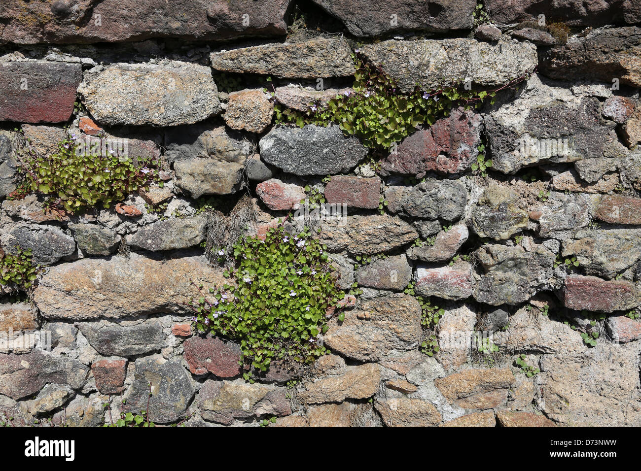 Muratura di bugnato immagini e fotografie stock ad alta risoluzione - Alamy
