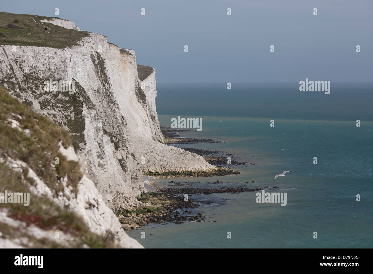 White cliffs dover immagini e fotografie stock ad alta risoluzione - Alamy