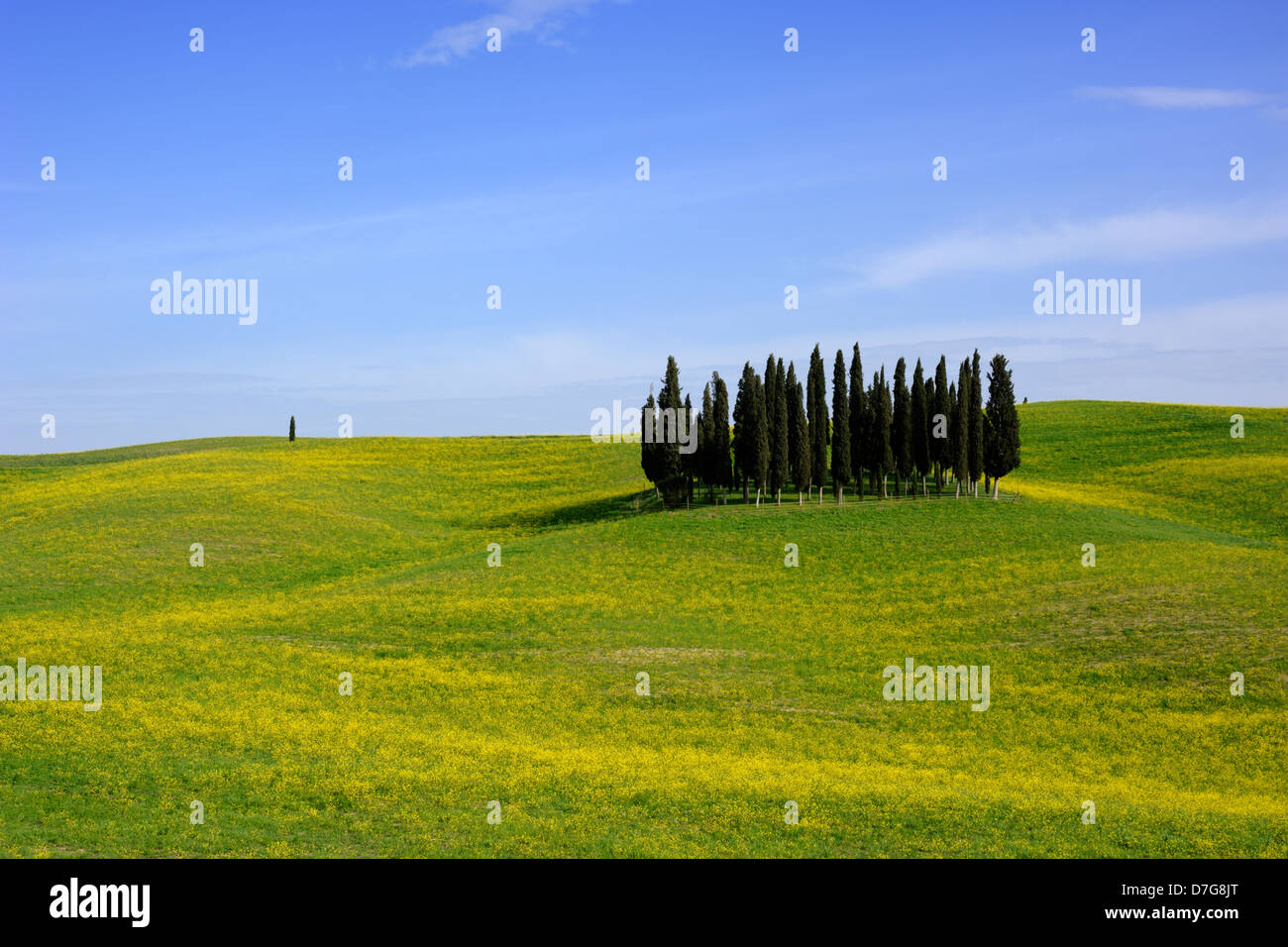 Campagna toscana immagini e fotografie stock ad alta risoluzione - Alamy