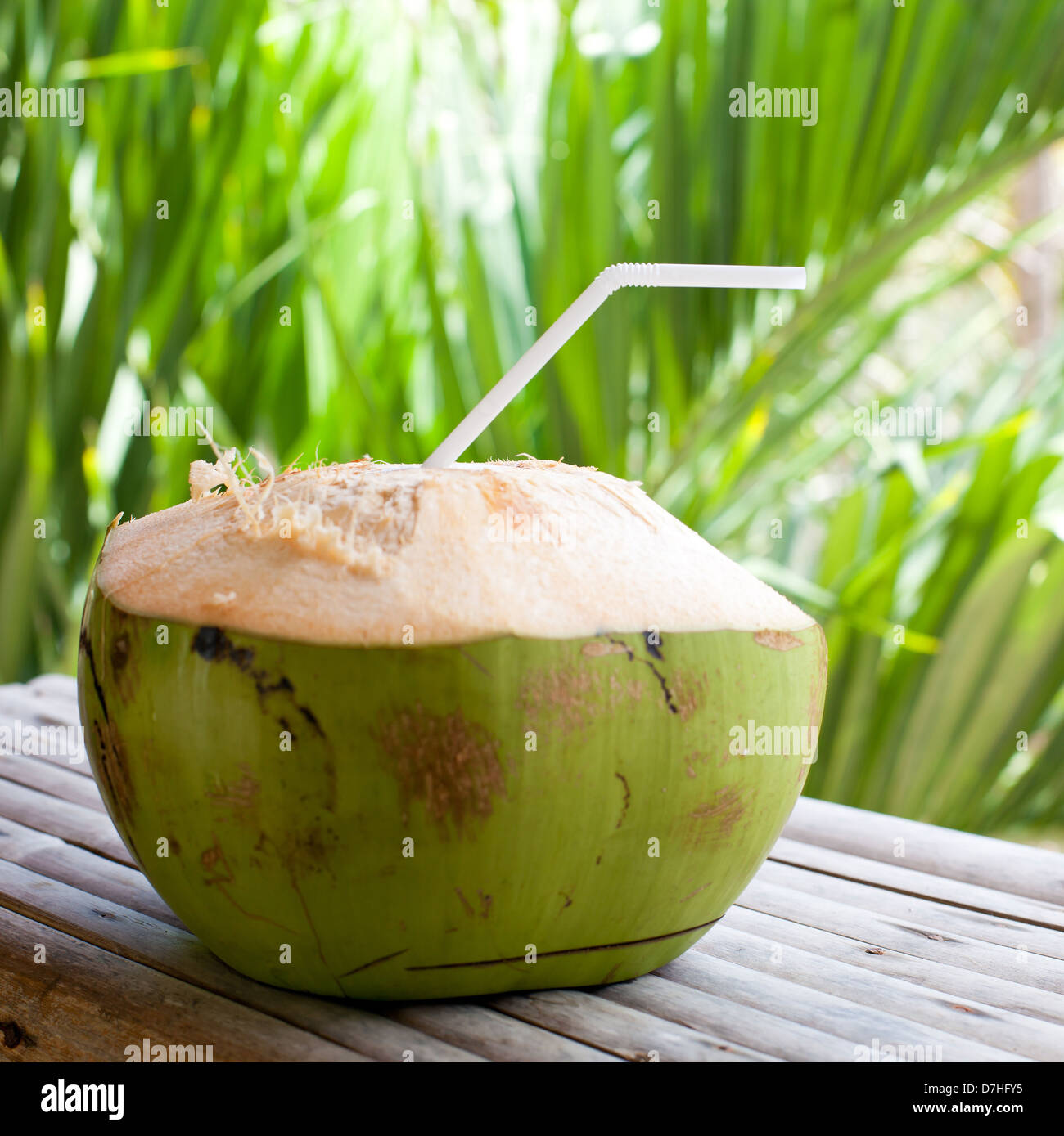 Sfondo di palme da cocco immagini e fotografie stock ad alta ...