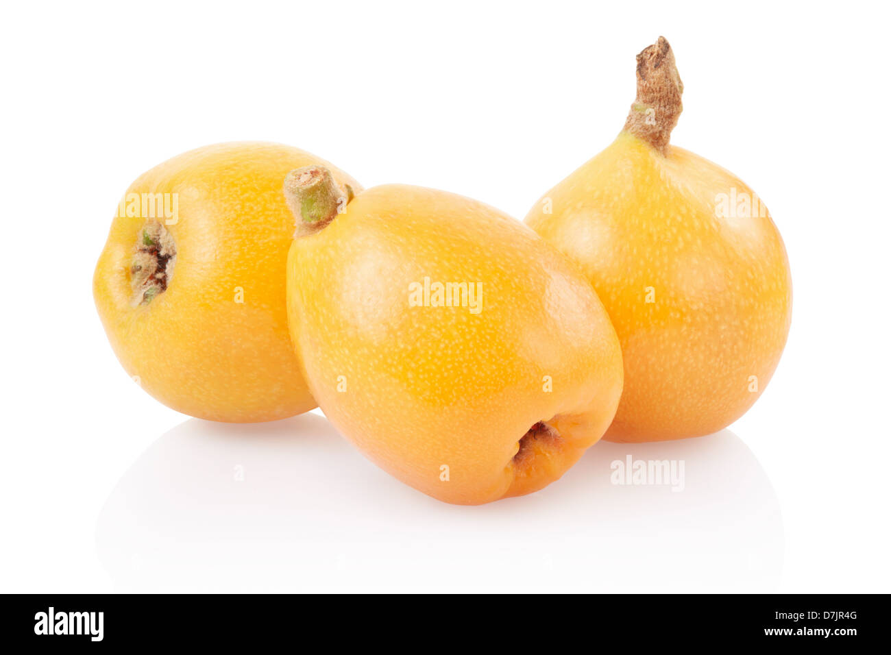 Frutto di nespolo Immagini senza sfondo e Foto Stock ritagliate - Alamy