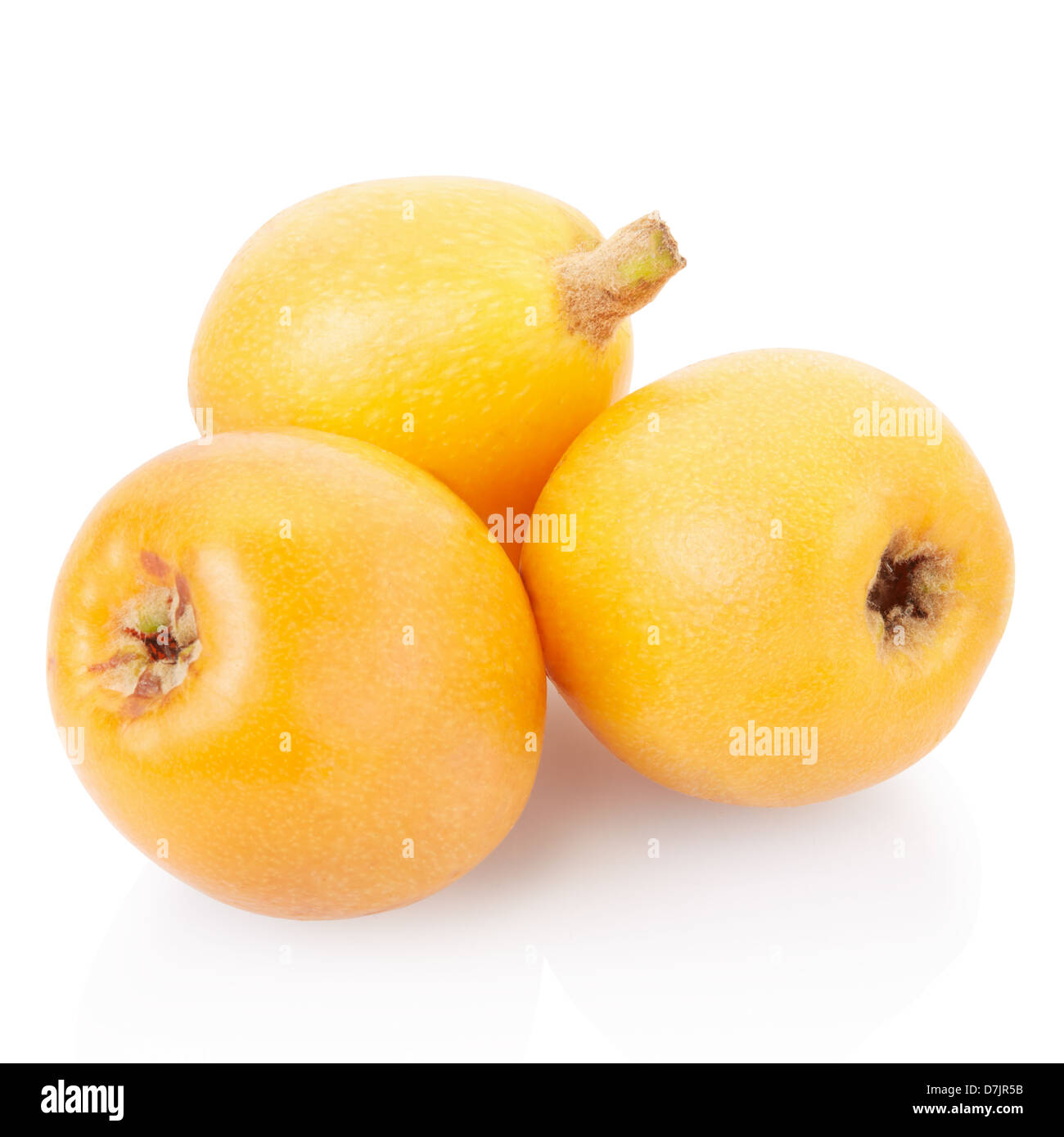 Frutto di nespolo Immagini senza sfondo e Foto Stock ritagliate - Alamy