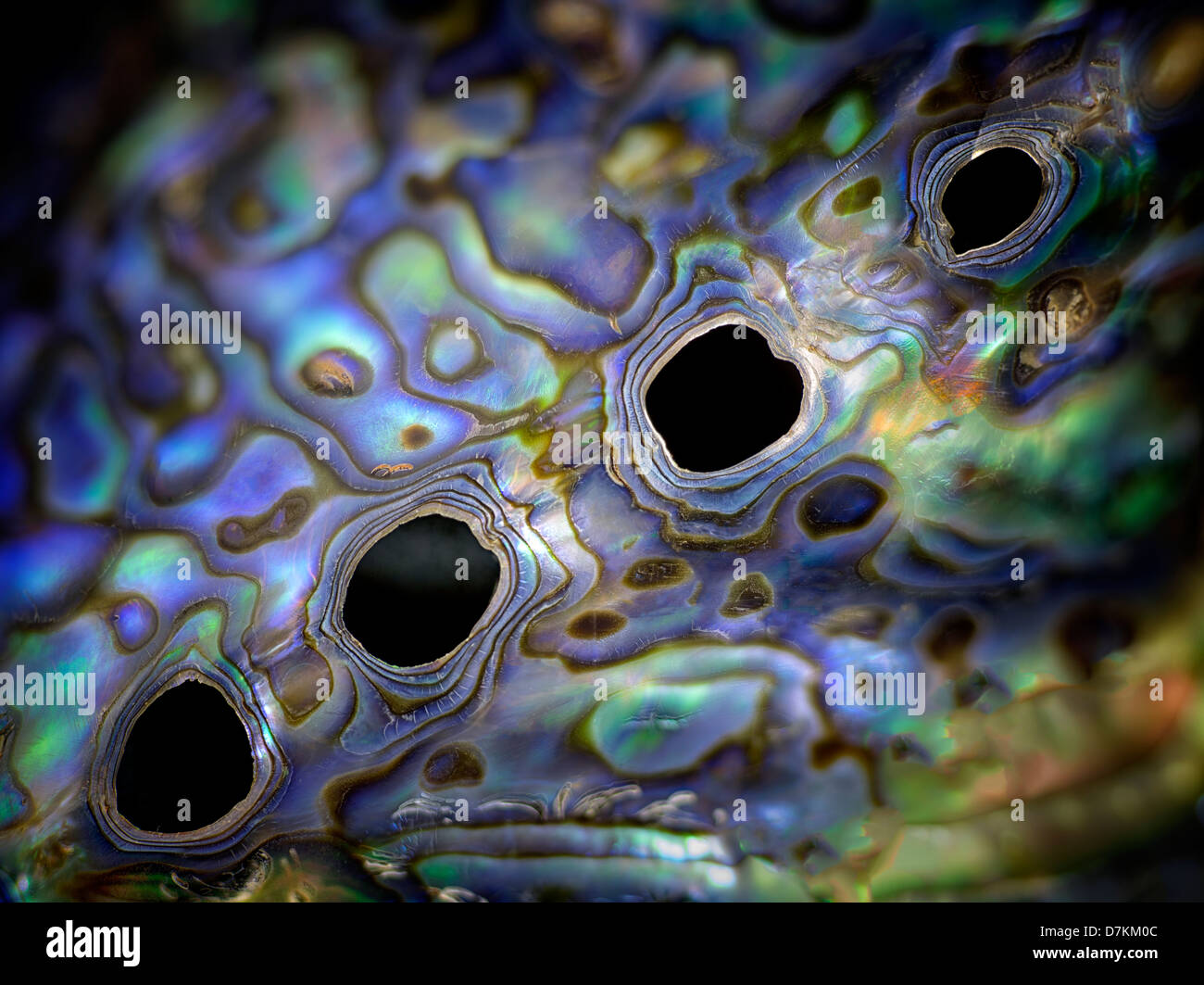 Close uplime immagini e fotografie stock ad alta risoluzione - Alamy