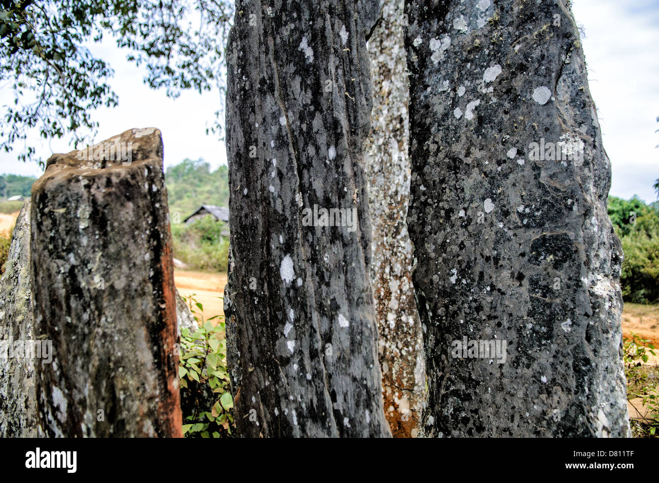 Madeleine colani immagini e fotografie stock ad alta risoluzione - Alamy