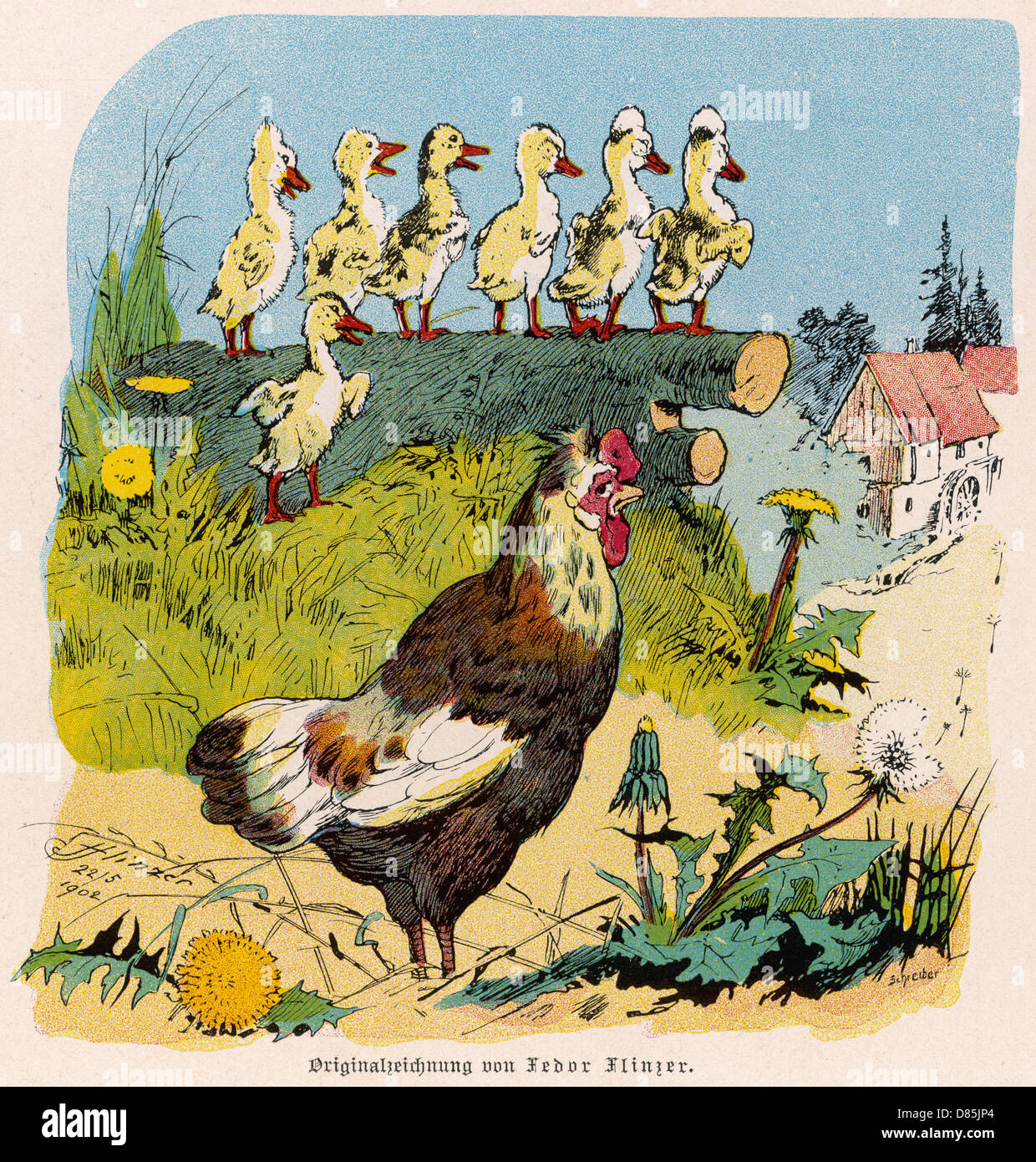 Gallina con i pulcini immagini e fotografie stock ad alta risoluzione ...