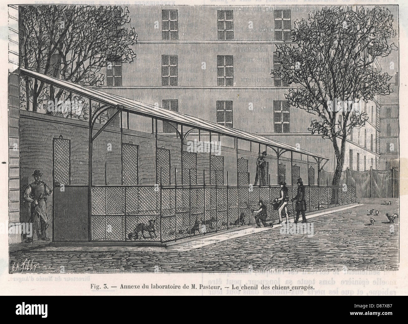 Pasteur institute immagini e fotografie stock ad alta risoluzione - Alamy