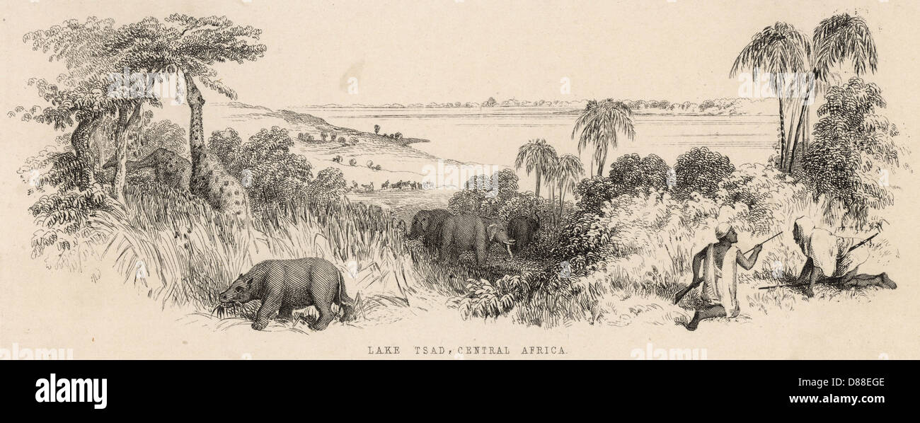 Lago ciad animali immagini e fotografie stock ad alta risoluzione - Alamy