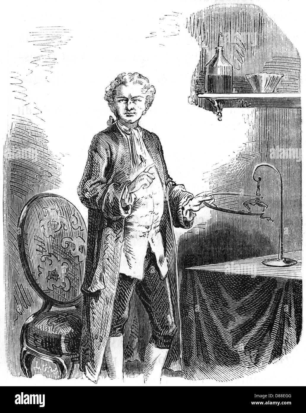 Esperimento sulle cosce di rana immagini e fotografie stock ad alta ...