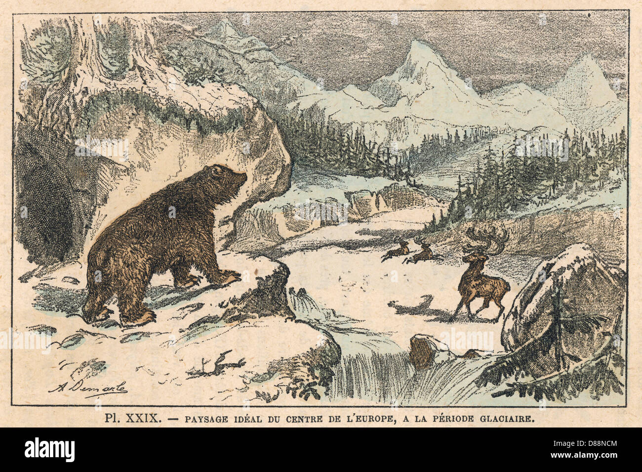 Pleistocene ice age immagini e fotografie stock ad alta risoluzione - Alamy
