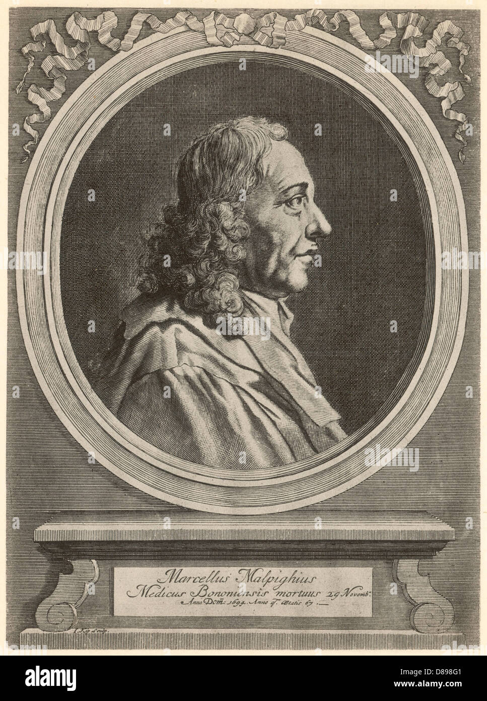 Marcello malpighi immagini e fotografie stock ad alta risoluzione - Alamy