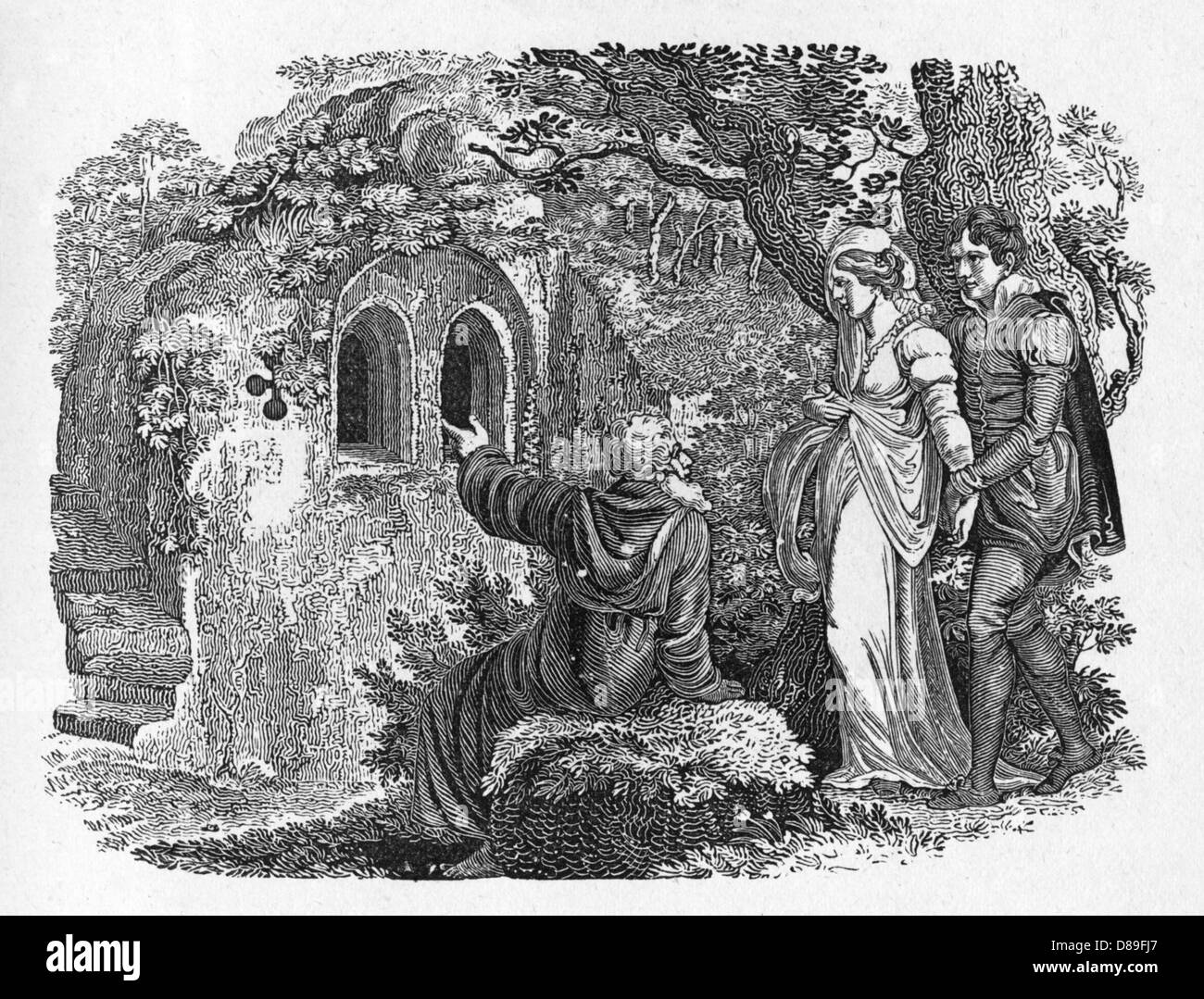 Eremita eremita immagini e fotografie stock ad alta risoluzione - Alamy