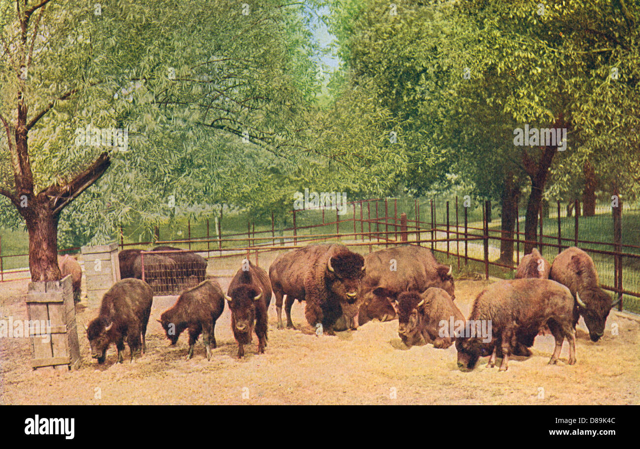 Cosa vedere a chicago immagini e fotografie stock ad alta risoluzione ...