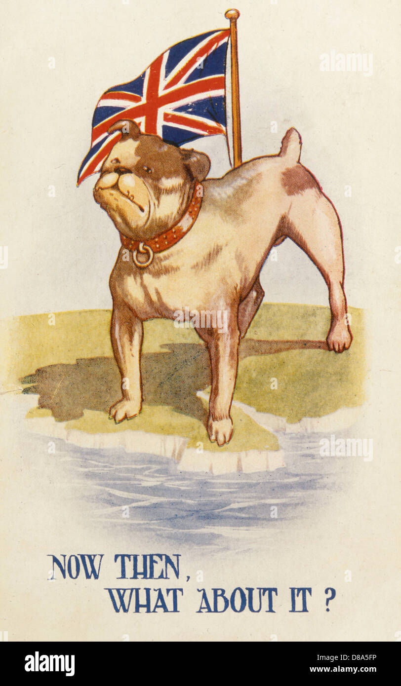 British bulldog union jack immagini e fotografie stock ad alta ...