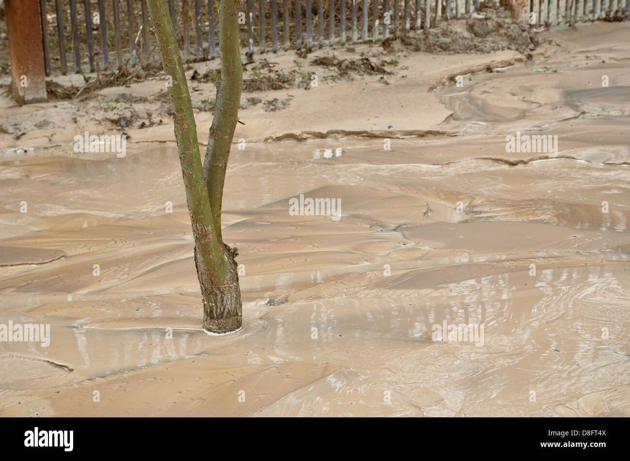 Il limo dopo il flusso di fango Foto stock - Alamy