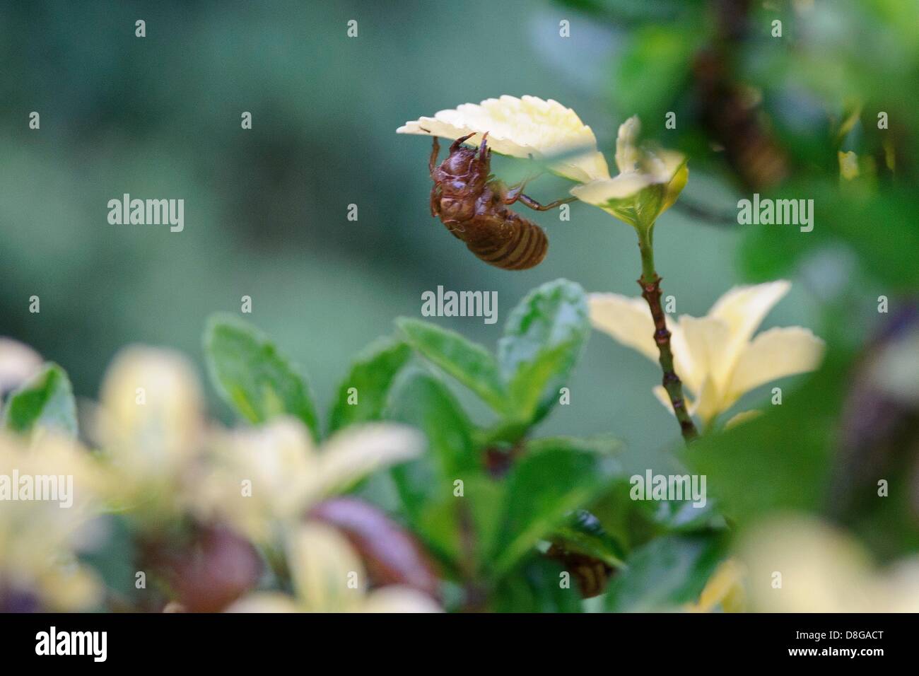 Cal edison immagini e fotografie stock ad alta risoluzione - Alamy