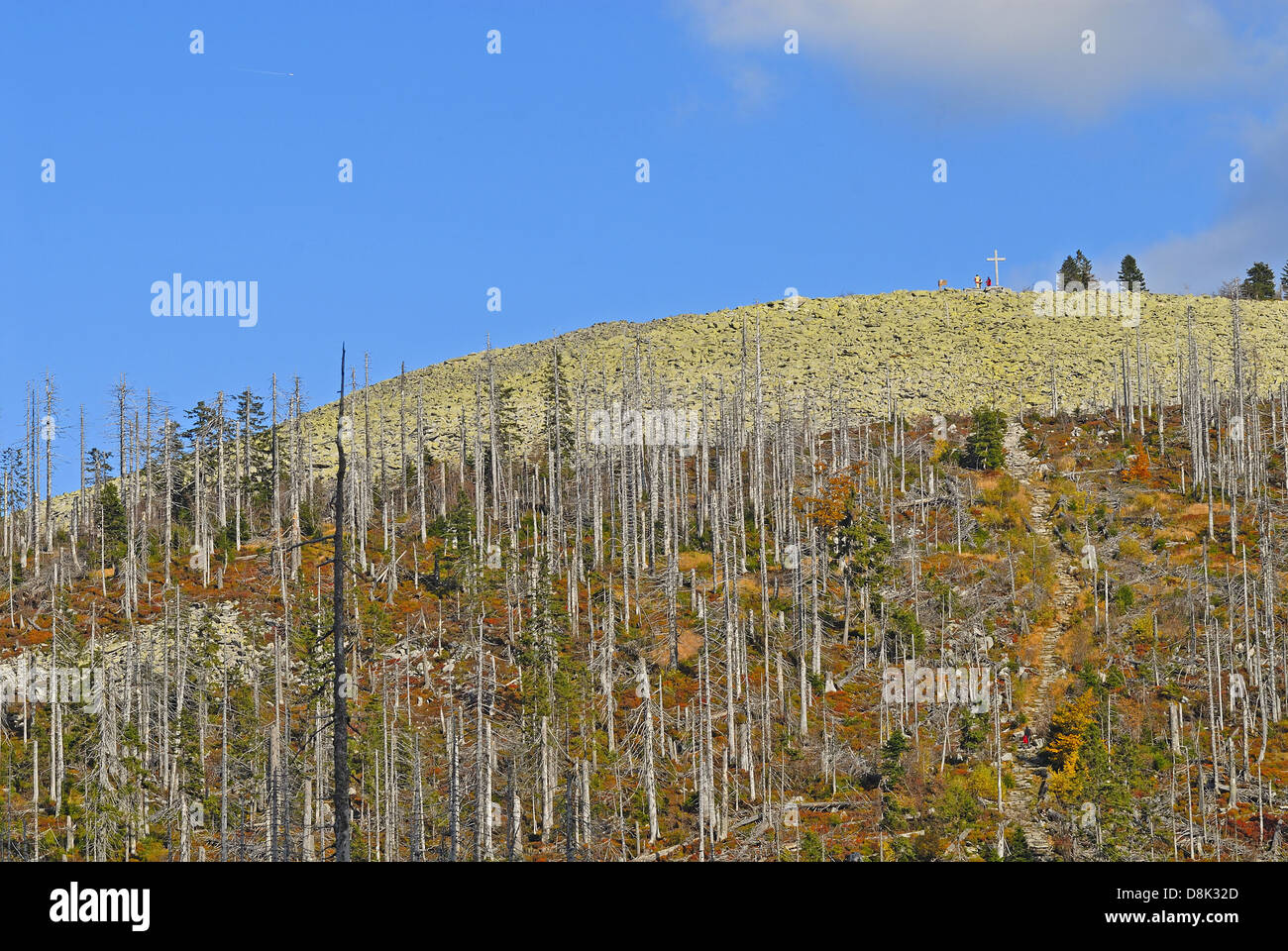 Picco di lusen immagini e fotografie stock ad alta risoluzione - Alamy