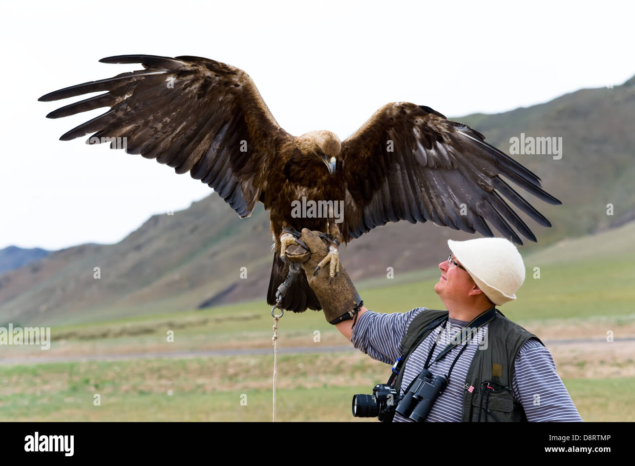 Aquila con le ali spiegate immagini e fotografie stock ad alta ...