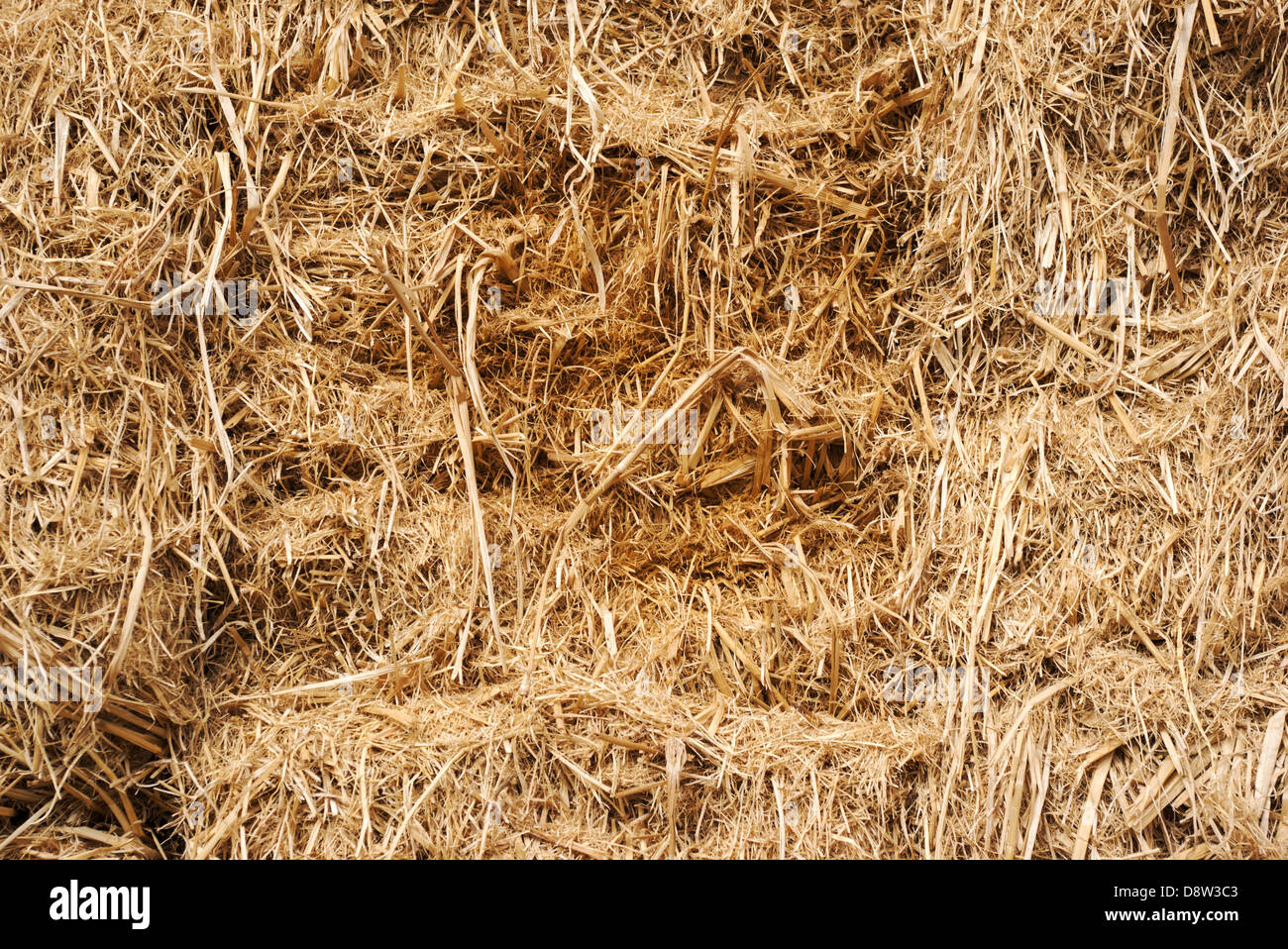 Straw texture immagini e fotografie stock ad alta risoluzione - Alamy