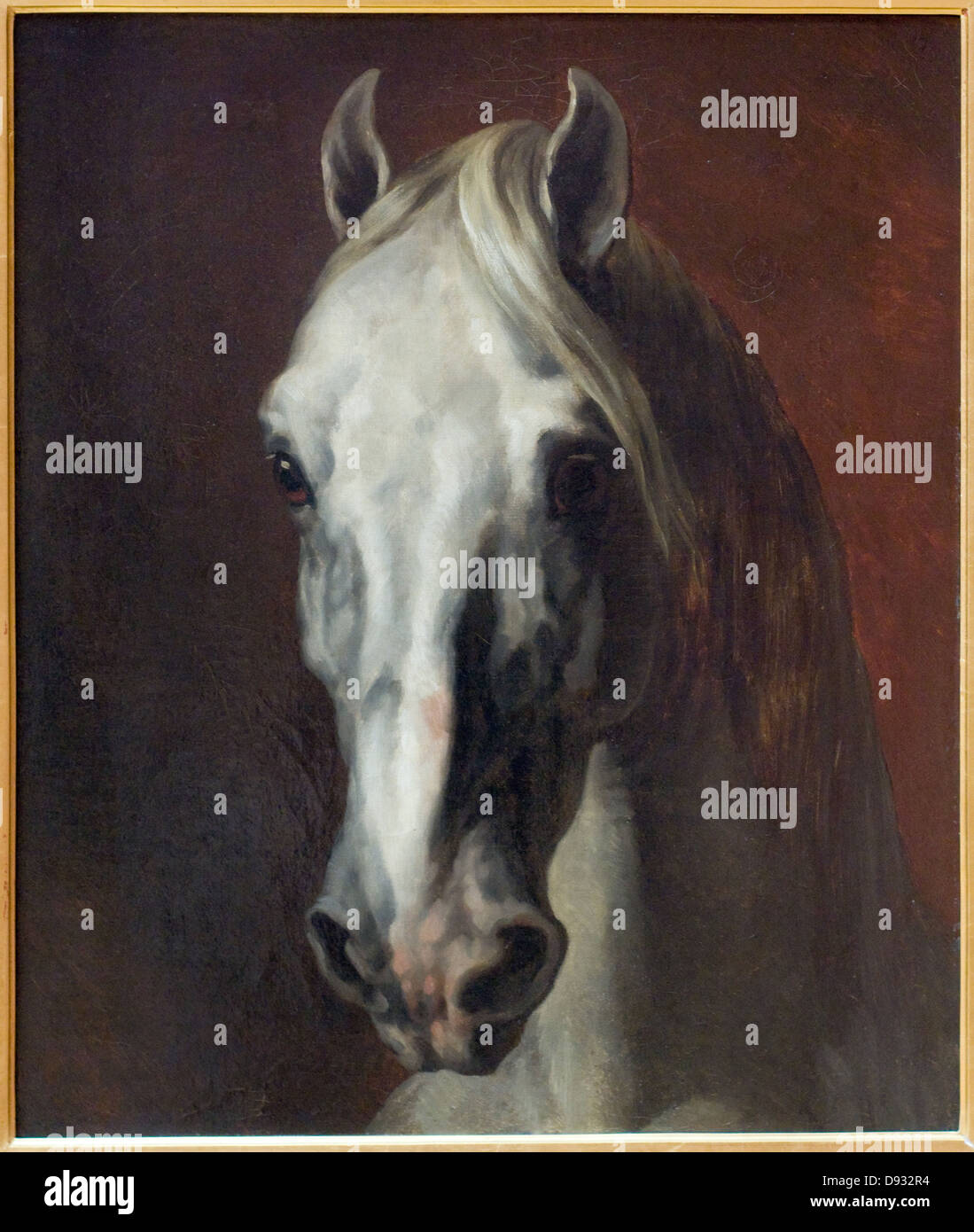 Théodore Géricault Tête de Cheval blanc - capo di un cavallo bianco ...