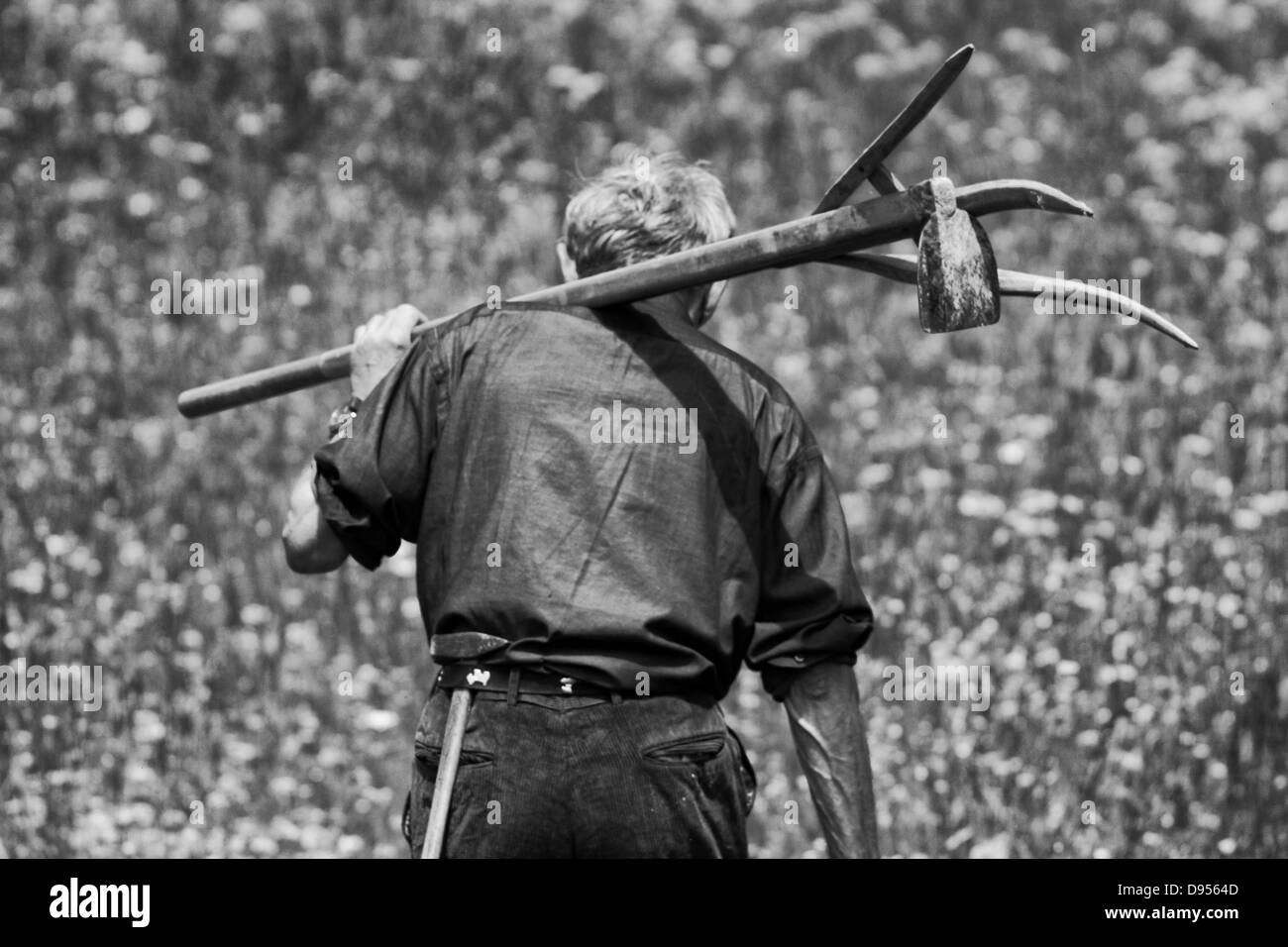 Campo degli strumenti Foto e Immagini Stock in Bianco e Nero - Alamy