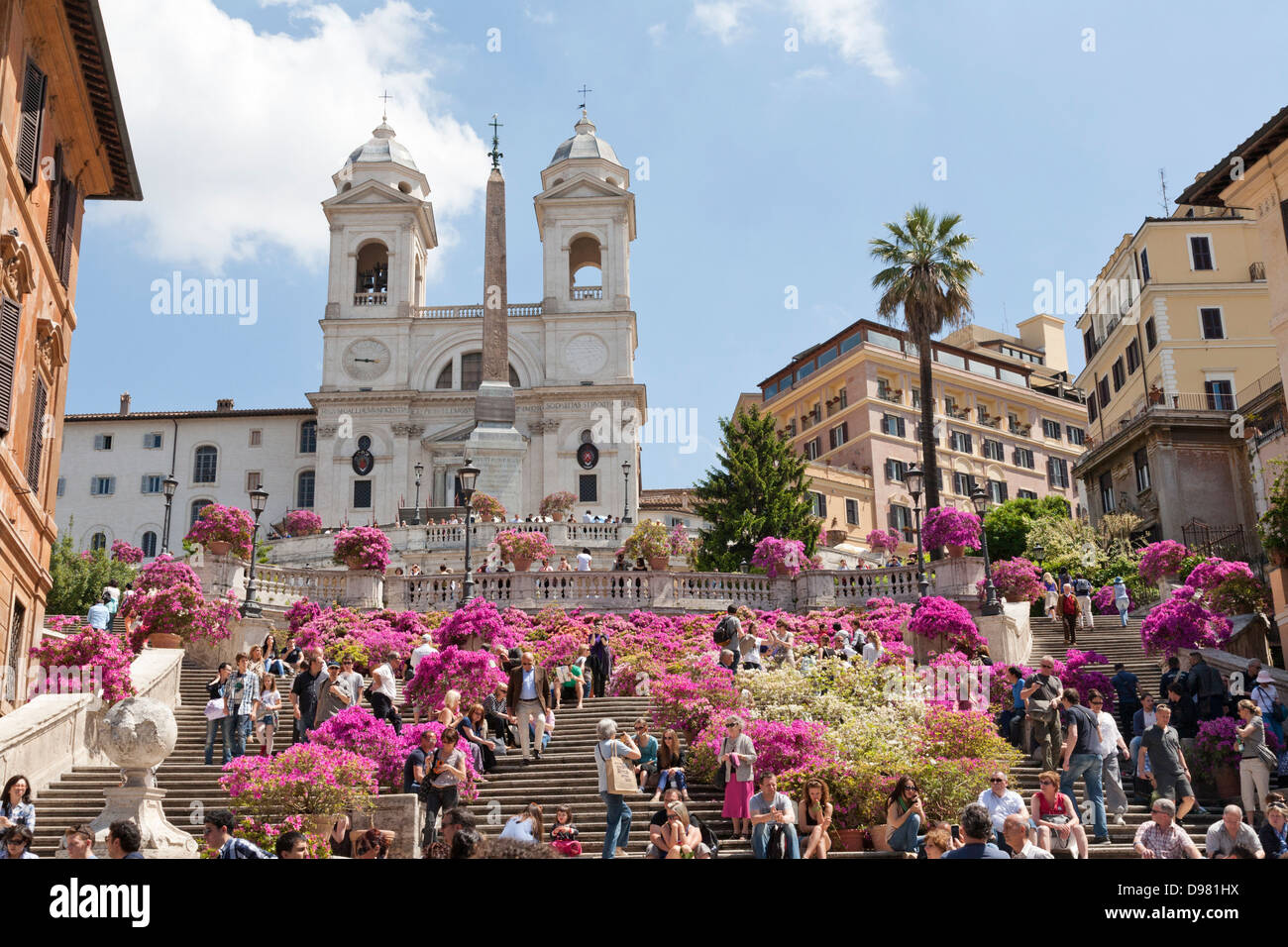 Vasi di Azalee in fiore, Piazza di Spagna e la scalinata della Trinita ...