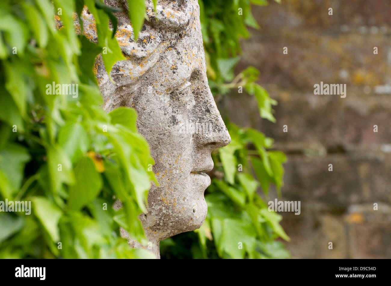 Faccia di profilo immagini e fotografie stock ad alta risoluzione - Alamy