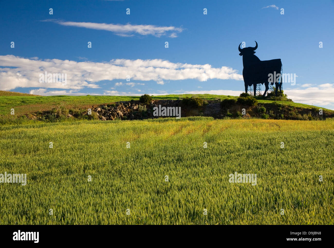 Simbolo del toro immagini e fotografie stock ad alta risoluzione - Alamy