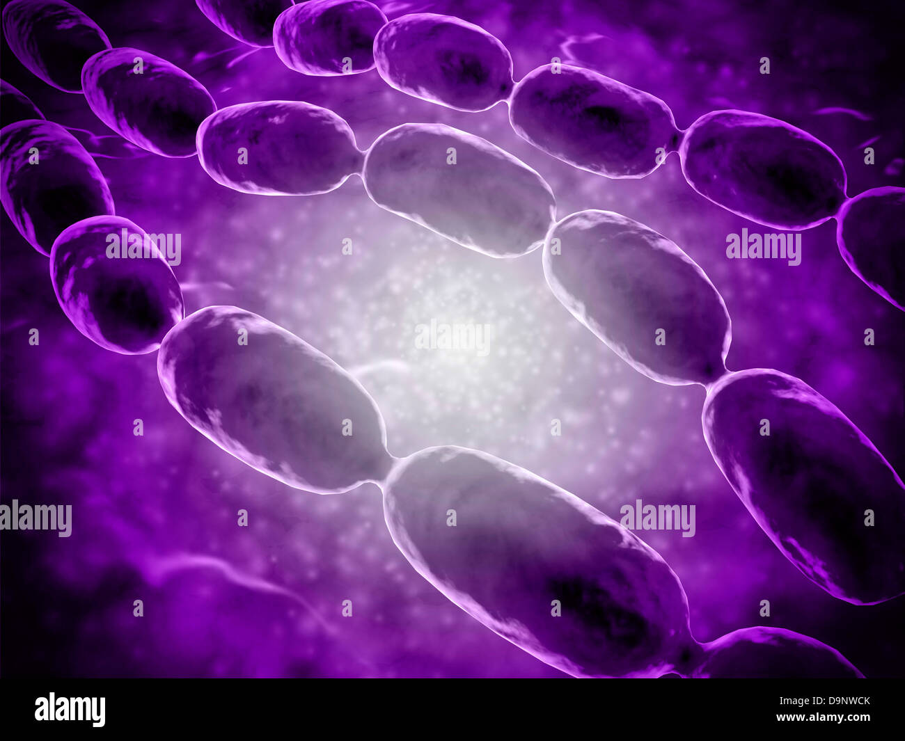 Polmonite batterica immagini e fotografie stock ad alta risoluzione - Alamy