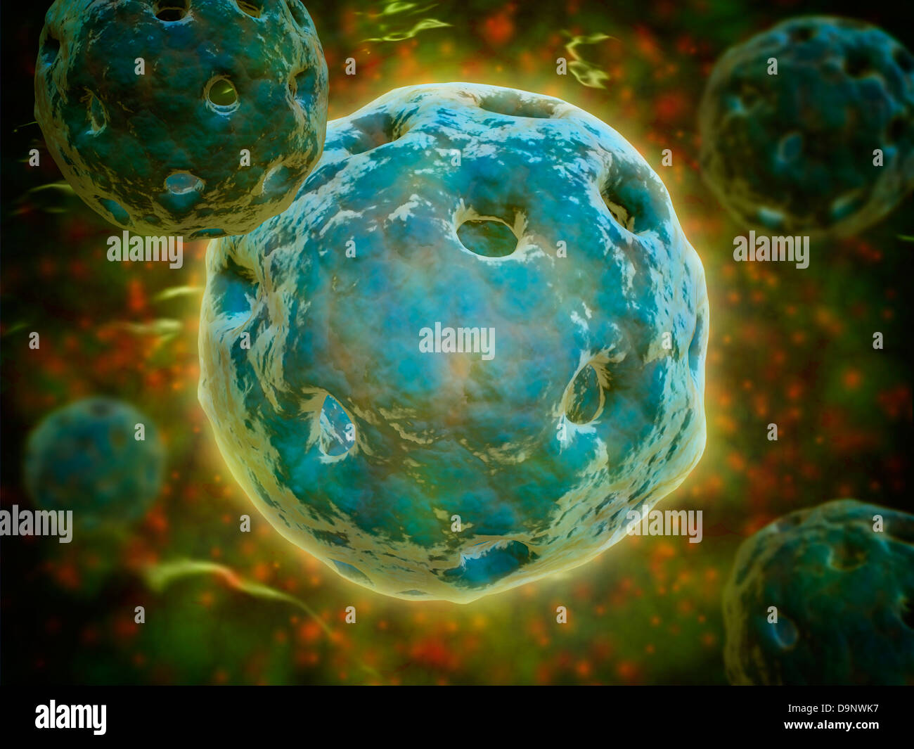 Nucleo cellula eucariote immagini e fotografie stock ad alta risoluzione - Alamy