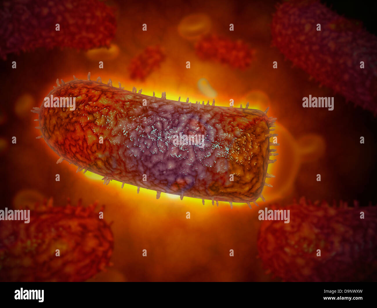 Immagini Del Virus Della Rabbia 7.448 Rabbia Virus Stock Photos,
