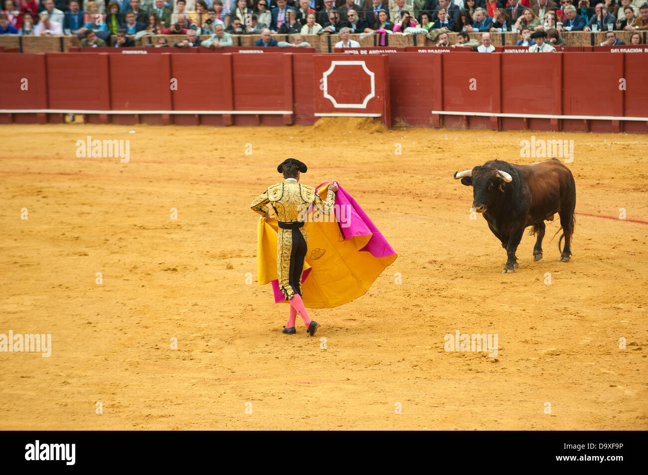 Matador e toro immagini e fotografie stock ad alta risoluzione - Alamy