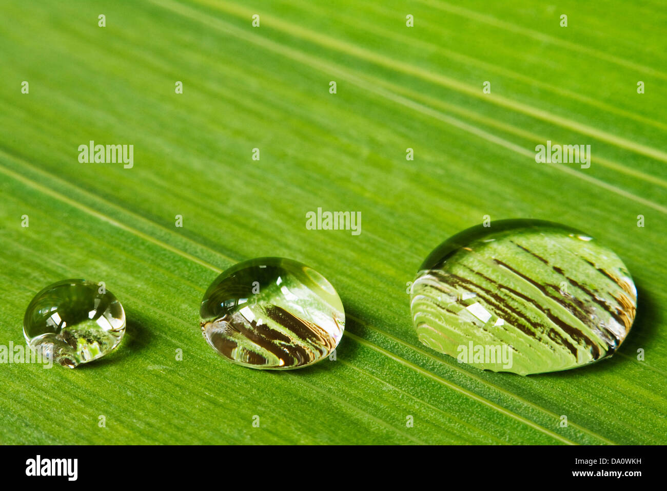 Simbolo di purezza immagini e fotografie stock ad alta risoluzione - Alamy