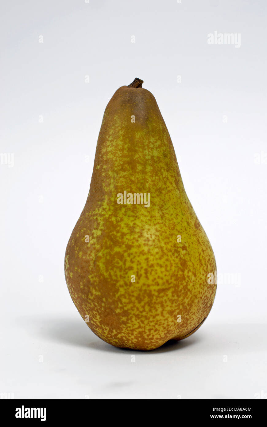 Una pera, varietà Abate Fetel Foto stock - Alamy