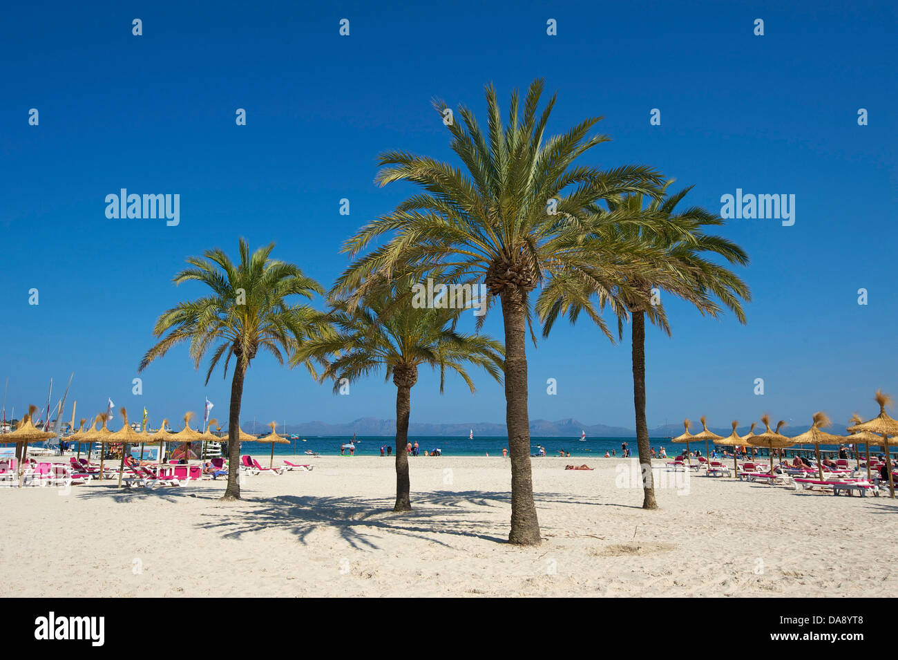 Spiagge palme immagini e fotografie stock ad alta risoluzione - Alamy